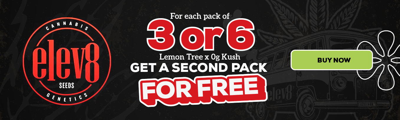 Buy Cannabis Seeds Online - Over 3,000 Strains | Linda Seeds