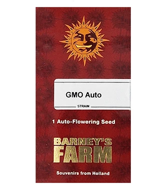 GMO Auto strain > Barneys Farm THC > 20%