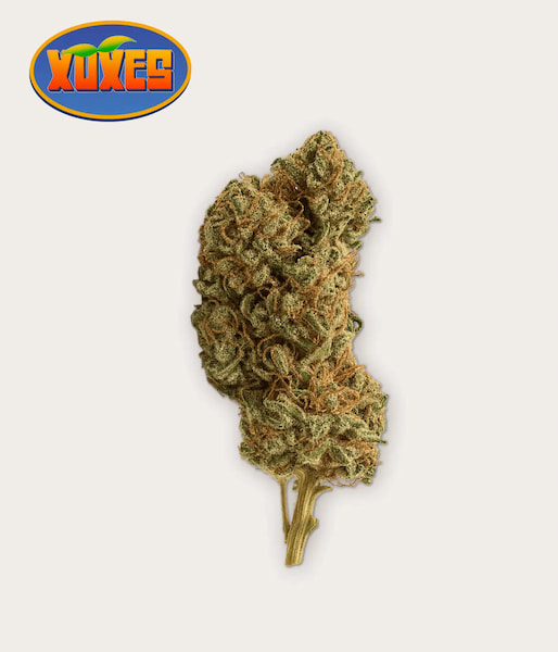 Comprar Mandarin Haze CBD Flores by Xuxes | Aroma de mandarina y lima,