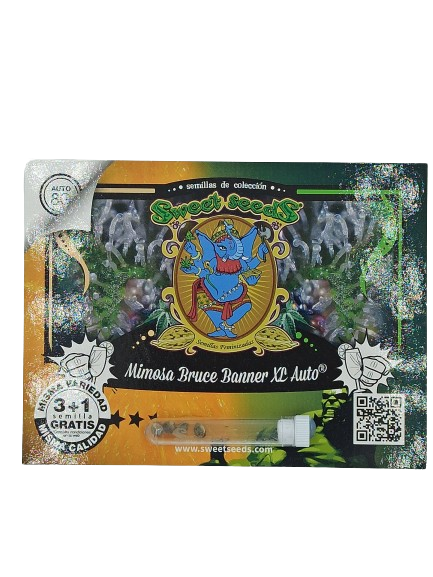 Mimosa Bruce Banner XL Auto strain > Sweet Seeds THC > 20%