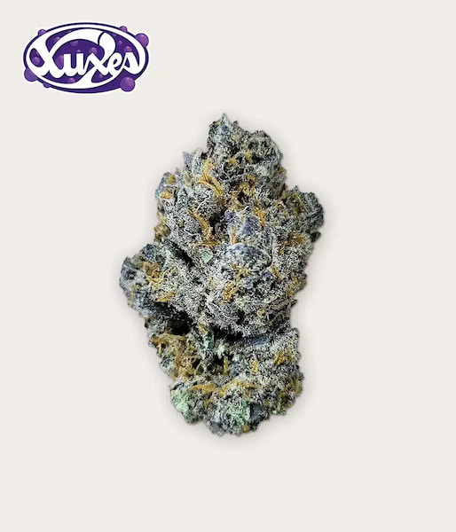 Purple Haze CBD Blüten von Xuxes kaufen | Premium Indoor,