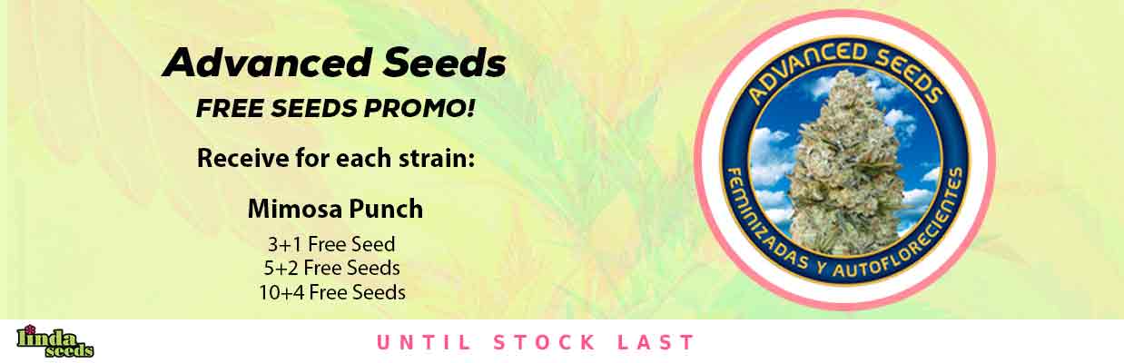 Best Promotions at Linda-Seeds.com