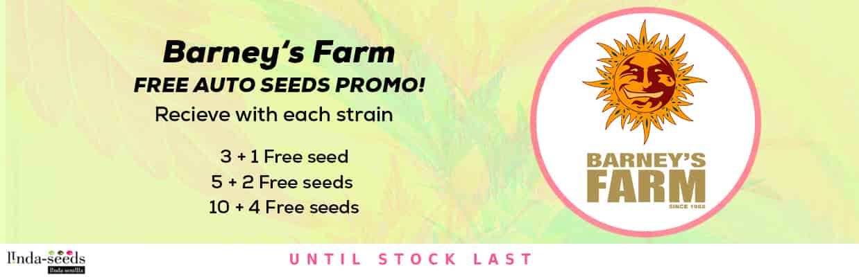 The best promotions at Linda-Seeds.com! Attack!