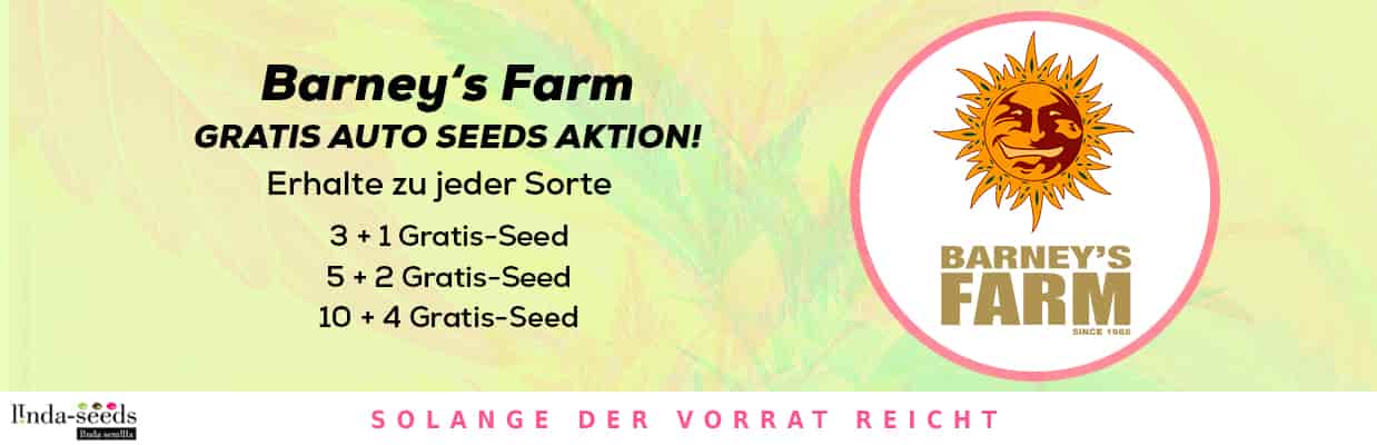 Die besten Aktionen bei Linda-Seeds.com! Greifen Sie zu!