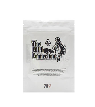 78 strain > The Cali Connection THC 15-20%
