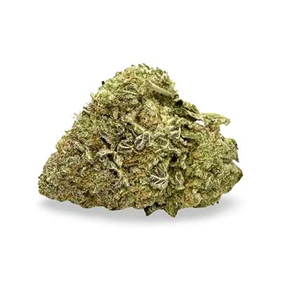 Auto Acai Mints Cannabis Seeds | Easy to Grow | Fast Delivery