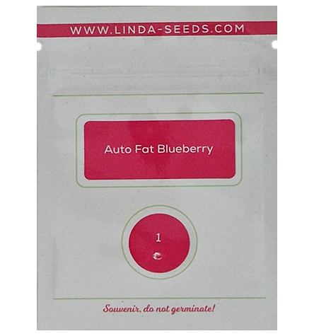 Auto Fat Blueberry strain > Linda Seeds THC 15-20%