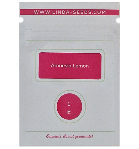 Amnesia Lemon Strain | Linda Seeds THC 15-20%