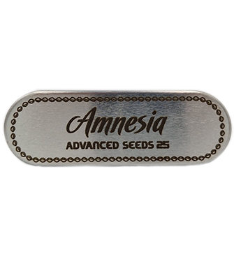 Amnesia strain > Advanced Seeds THC 15-20%