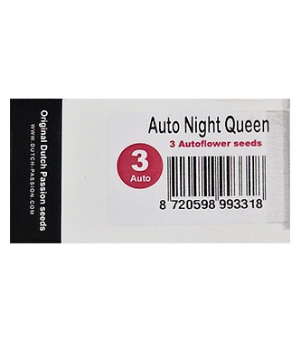 Auto Night Queen seeds by Dutch Passion – order here