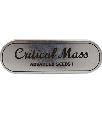 Critical Mass seeds by Advanced Seeds – order here
