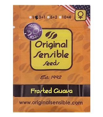 Frosted Guava strain > Original Sensible Seeds THC > 20%