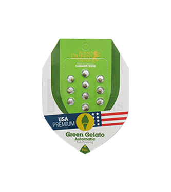 Green Gelato Auto strain > Royal Queen Seeds THC > 20%
