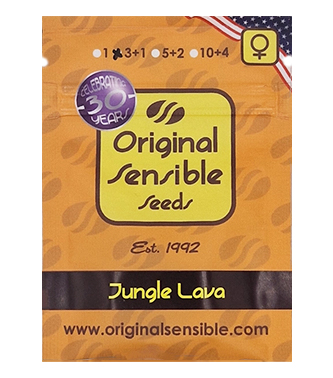 Jungle Lava seeds > Original Sensible Seeds THC > 20%