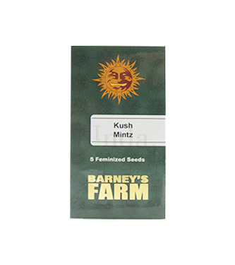 Kush Mintz strain > Barneys Farm THC 15-20%