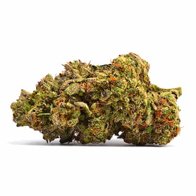 Lemon Cherry Gelato × Ice Cream de Vision Seeds – híbrido índica ...