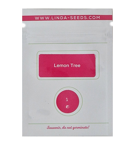 Lemon Tree strain > Linda Seeds THC > 20%