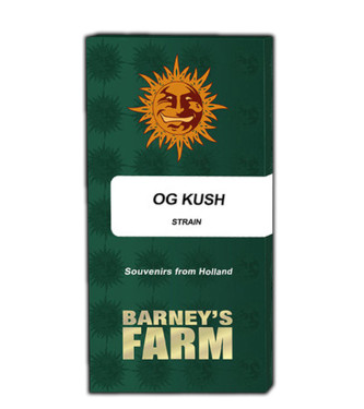 OG Kush strain > Barneys Farm THC > 20%
