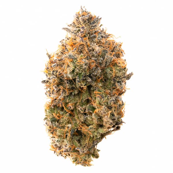Peach Moon Cake Cannabis Seeds | Perfect Tree