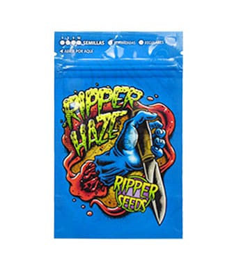 Ripper Haze strain > Ripper Seeds THC > 20%