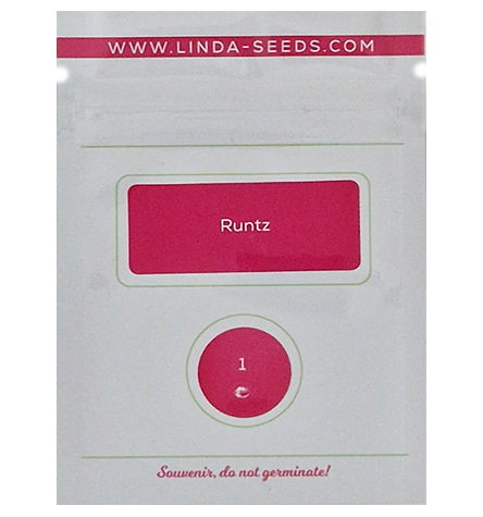 Runtz strain > Linda Seeds THC > 20%