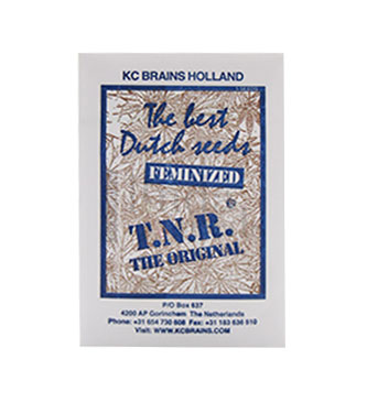 T.N.R strain >>> KC Brains Seeds THC > 20%